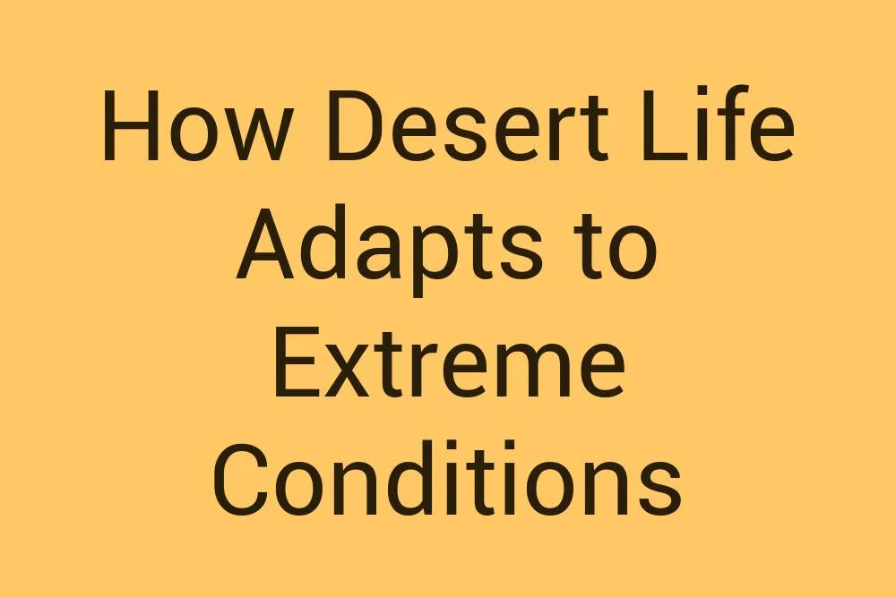 How Desert Life Adapts to Extreme Conditions - Infysia