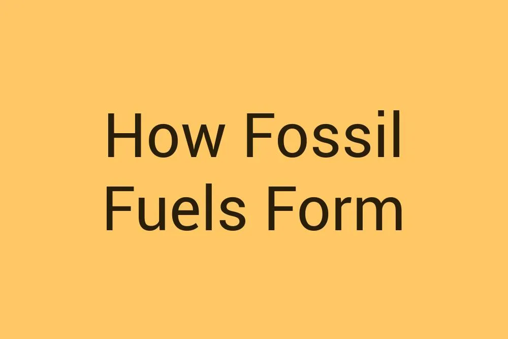 How Fossil Fuels Form - Infysia