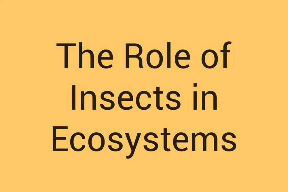 The Role of Insects in Ecosystems - Infysia